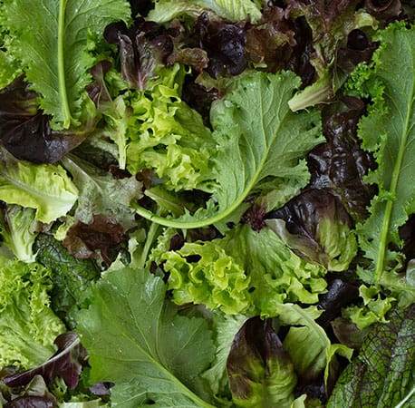 'Lettuce' tell you all you need to know about lettuce | easyFood